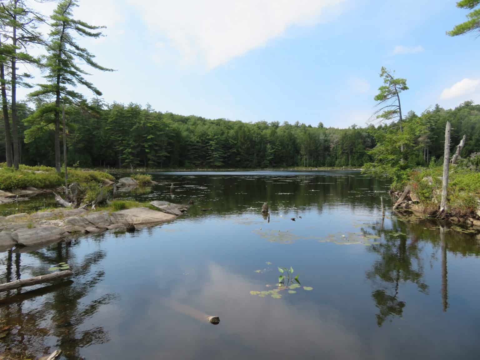 Lily Pond Highlands procured for conservation - The Vermont Journal ...