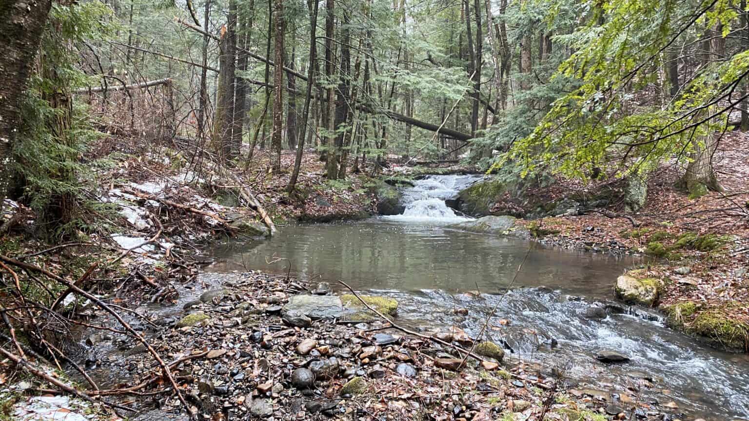 New community forest in Athens - The Vermont Journal & The Shopper