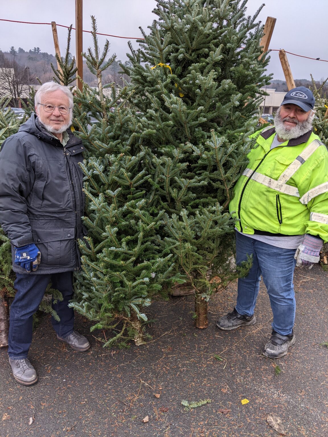 Springfield Lions hold successful tree sale - The Vermont Journal & The ...