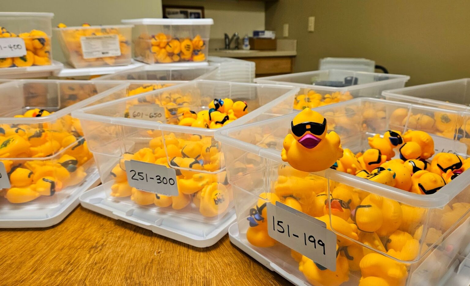 Annual Springfield Duck Run - The Vermont Journal & The Shopper