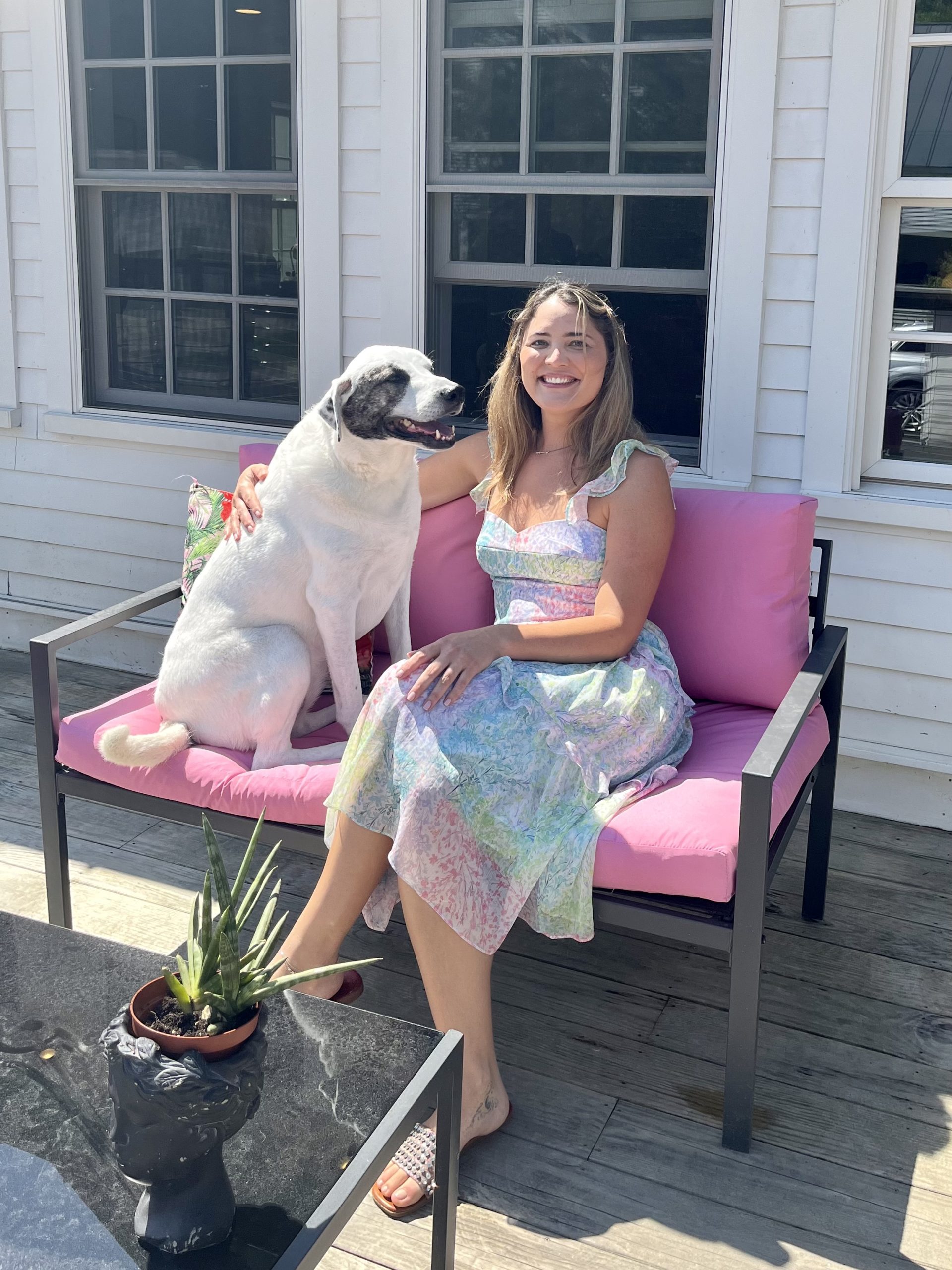 News Archives - The Vermont Journal & The Shopper