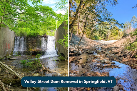 Valley Street Dam successfully removed - The Vermont Journal & The Shopper
