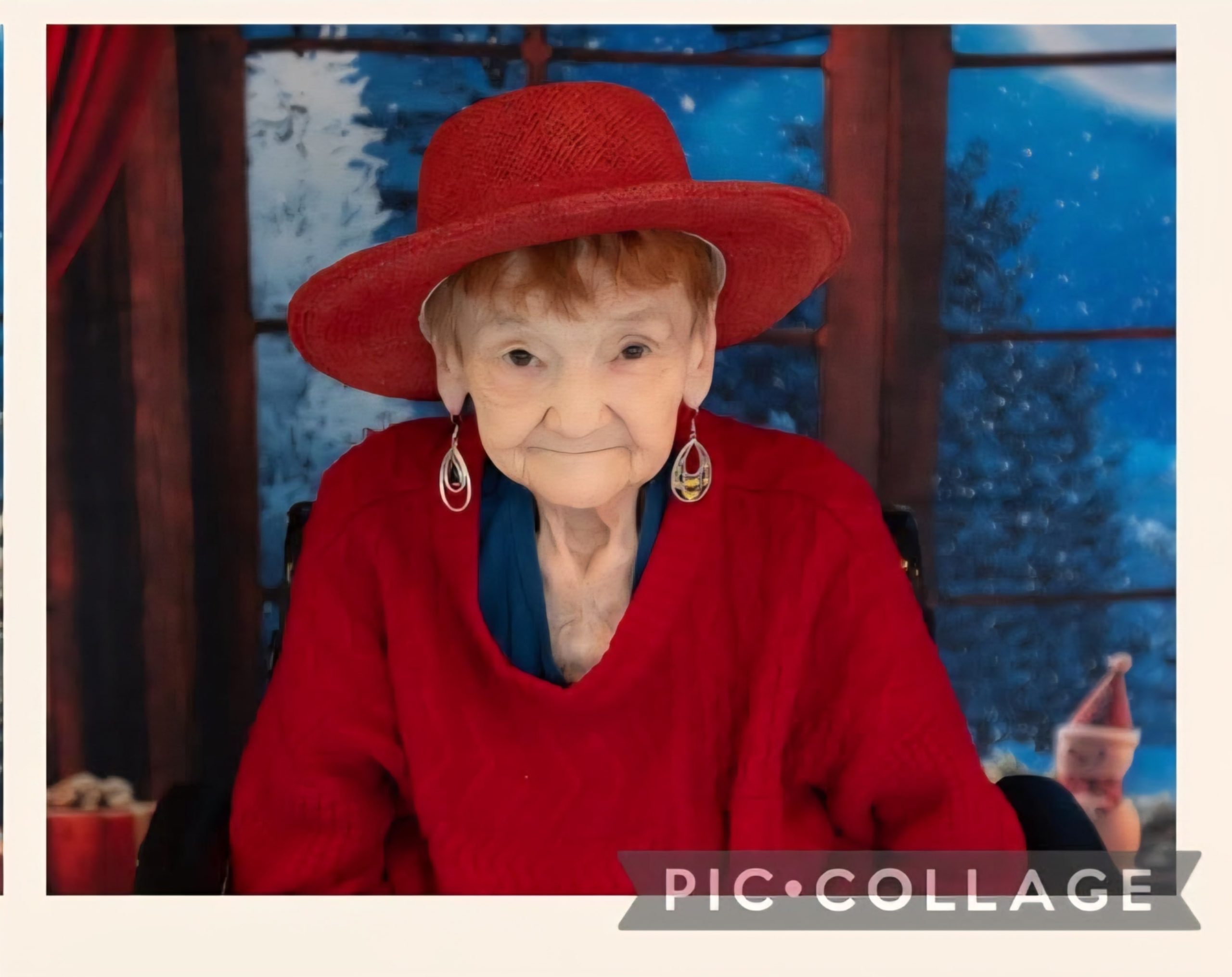 Ellen Aron, 1946-2026 - The Vermont Journal & The Shopper